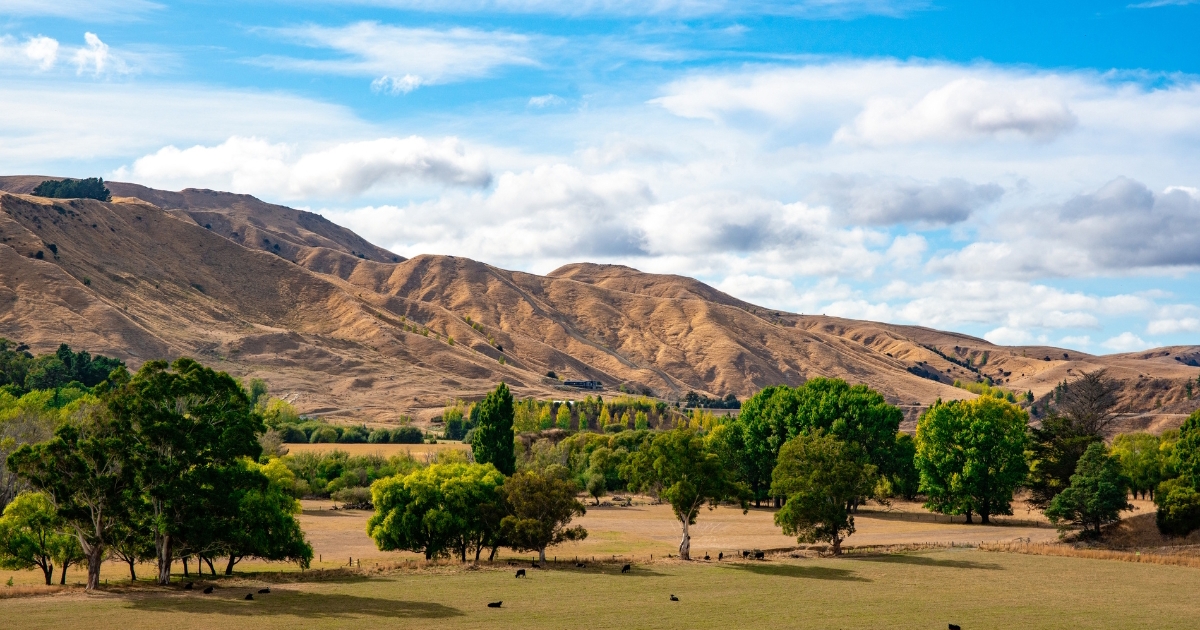 Best Holiday Parks Lower North Island | TOP 10 New Zealand